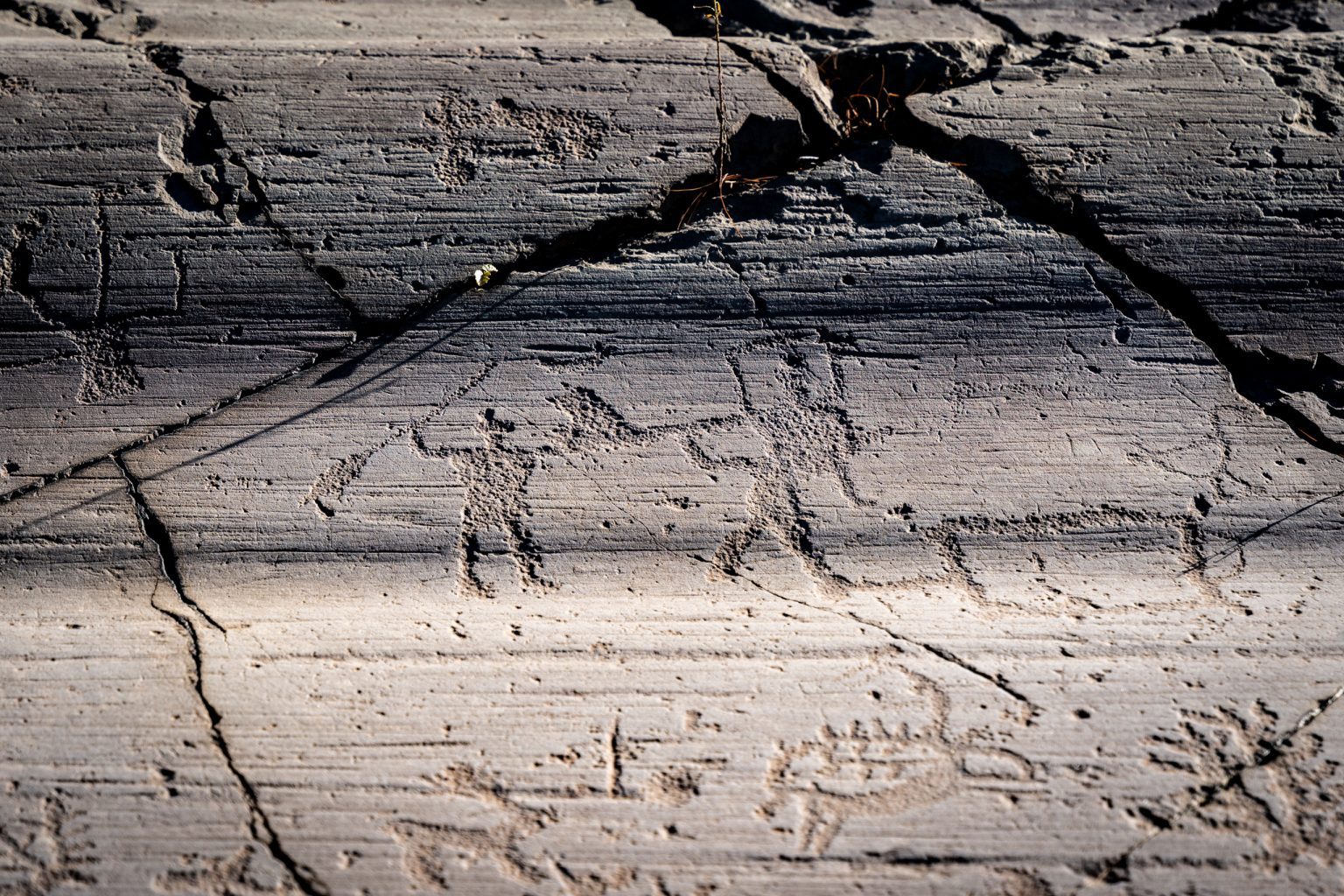 Parco Nazionale delle Incisioni Rupestri, loc. Naquane | Valle Camonica ...