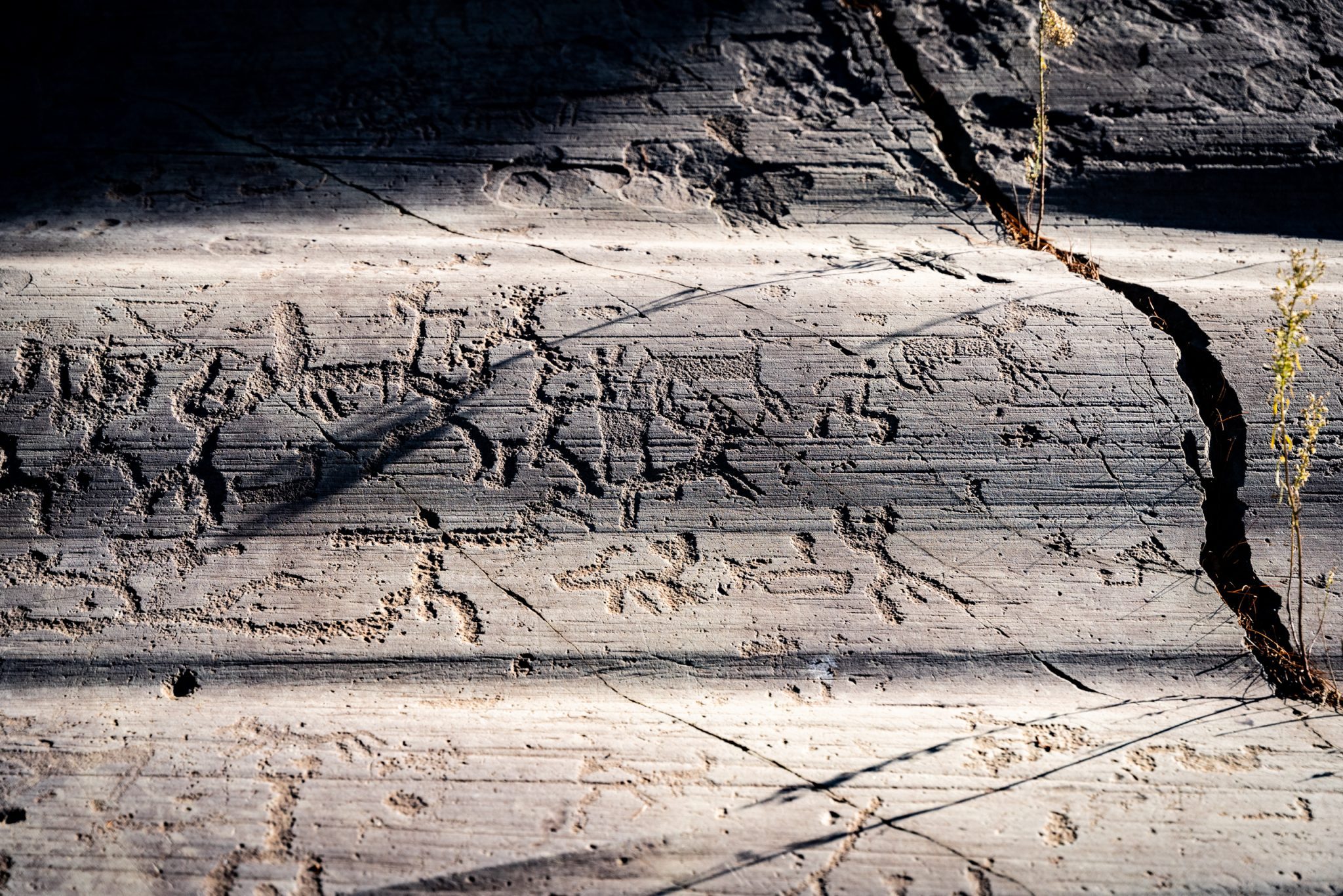 Parco Nazionale delle Incisioni Rupestri, loc. Naquane | Valle Camonica ...